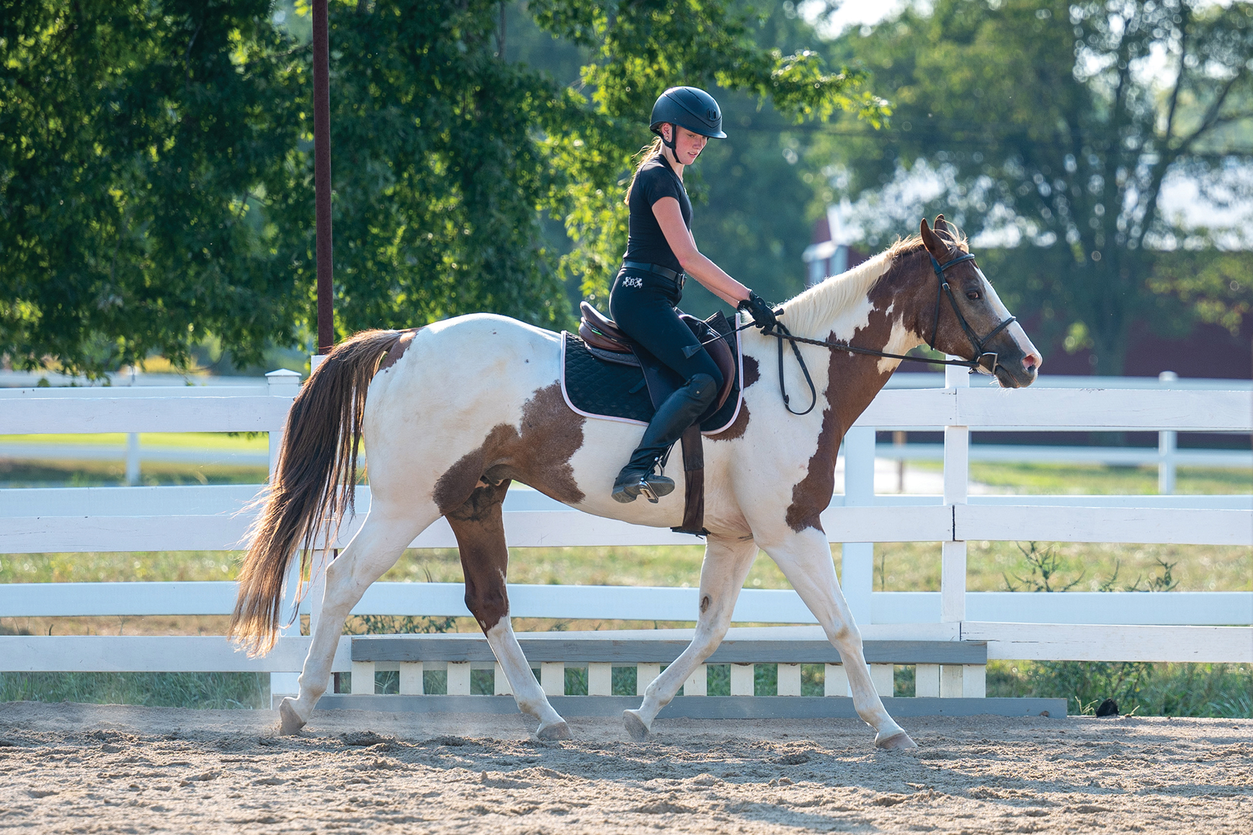 Taking the Reins in Equestrian Athletics - Henderson Family Magazine