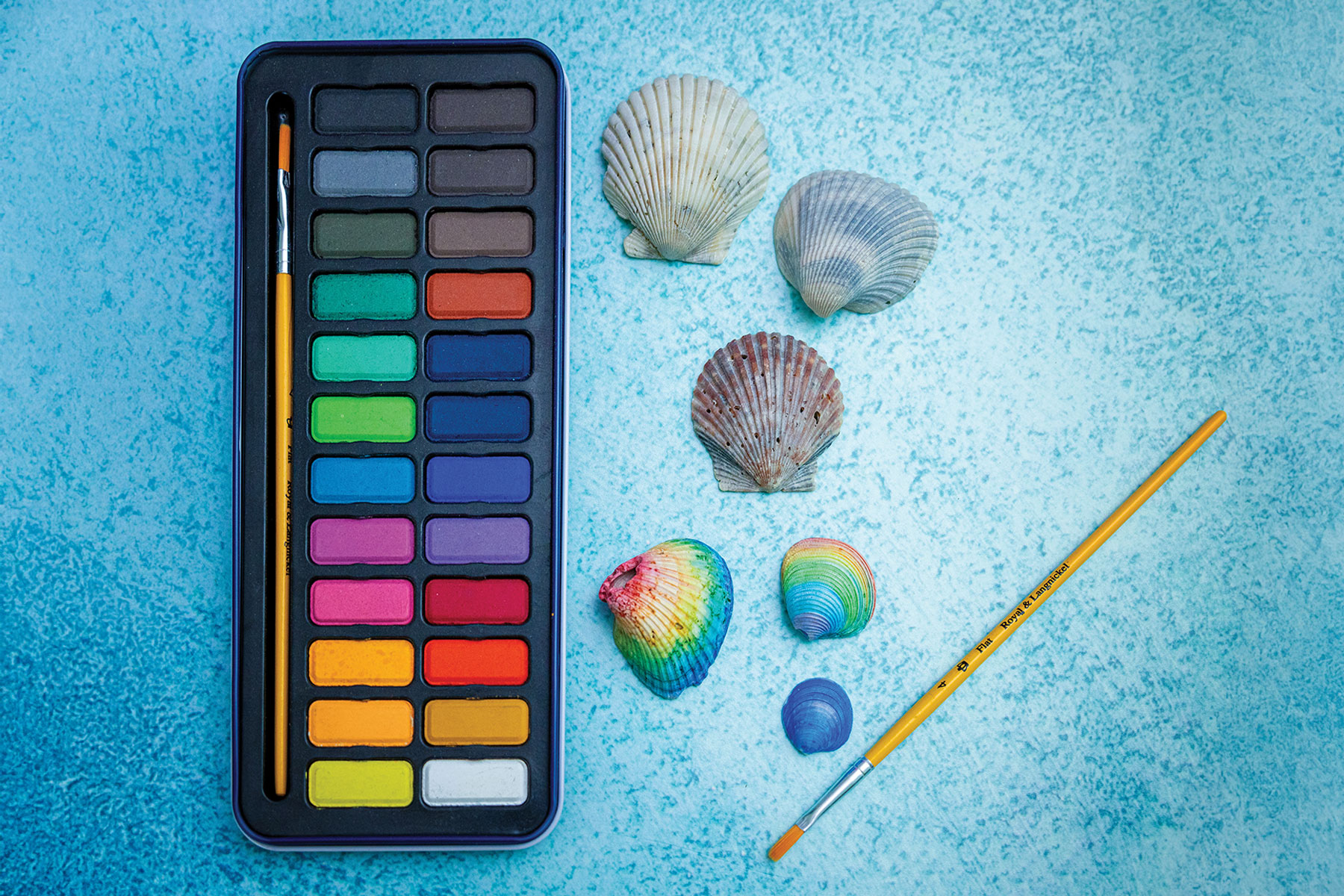 Watercolor Seashells - Henderson Family Magazine